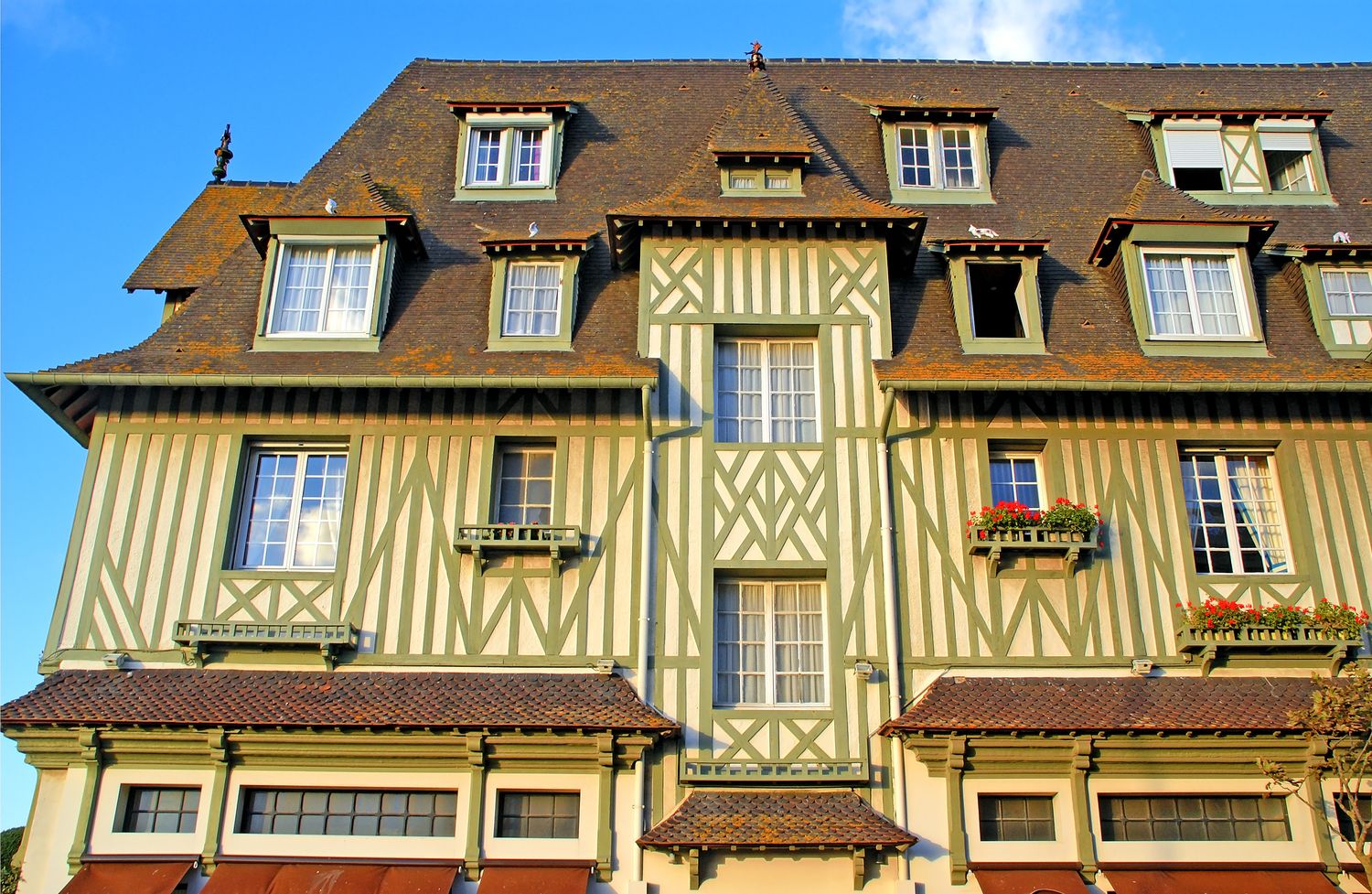 Bâtir, Maçonner, Consolider : fondamentaux en construction et restauration